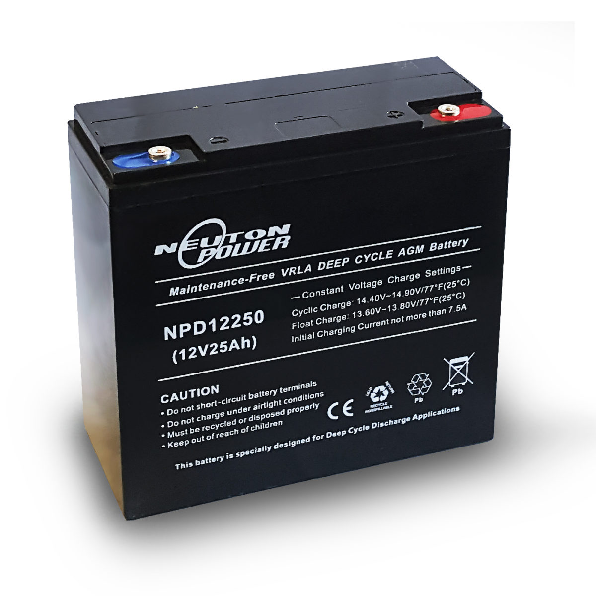 NPD12250 (12V 25Ah) - BatteryGuru | One of the Largest Batteries Retailers